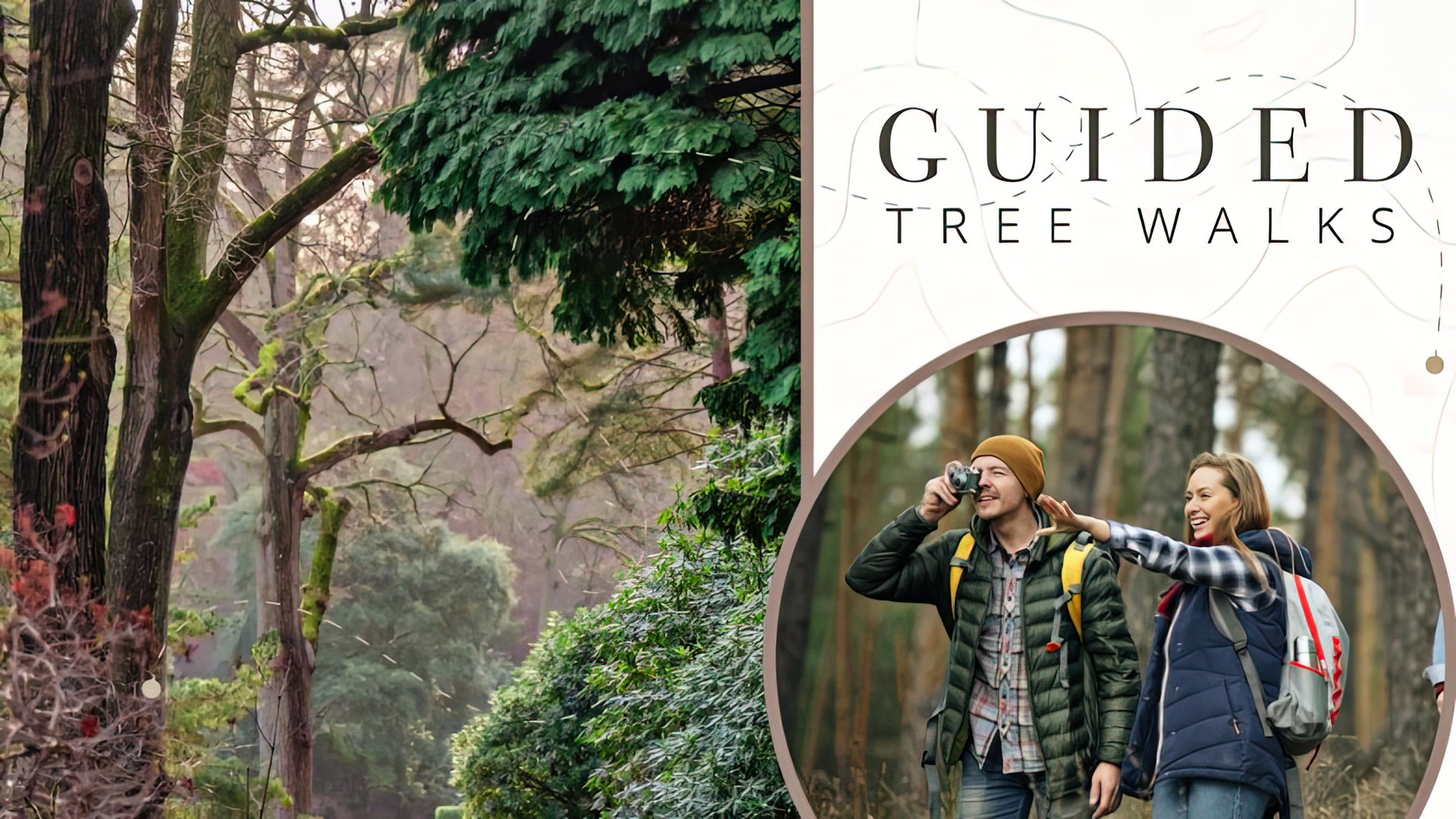 Guided Tree Walks - Leonardslee Gardens