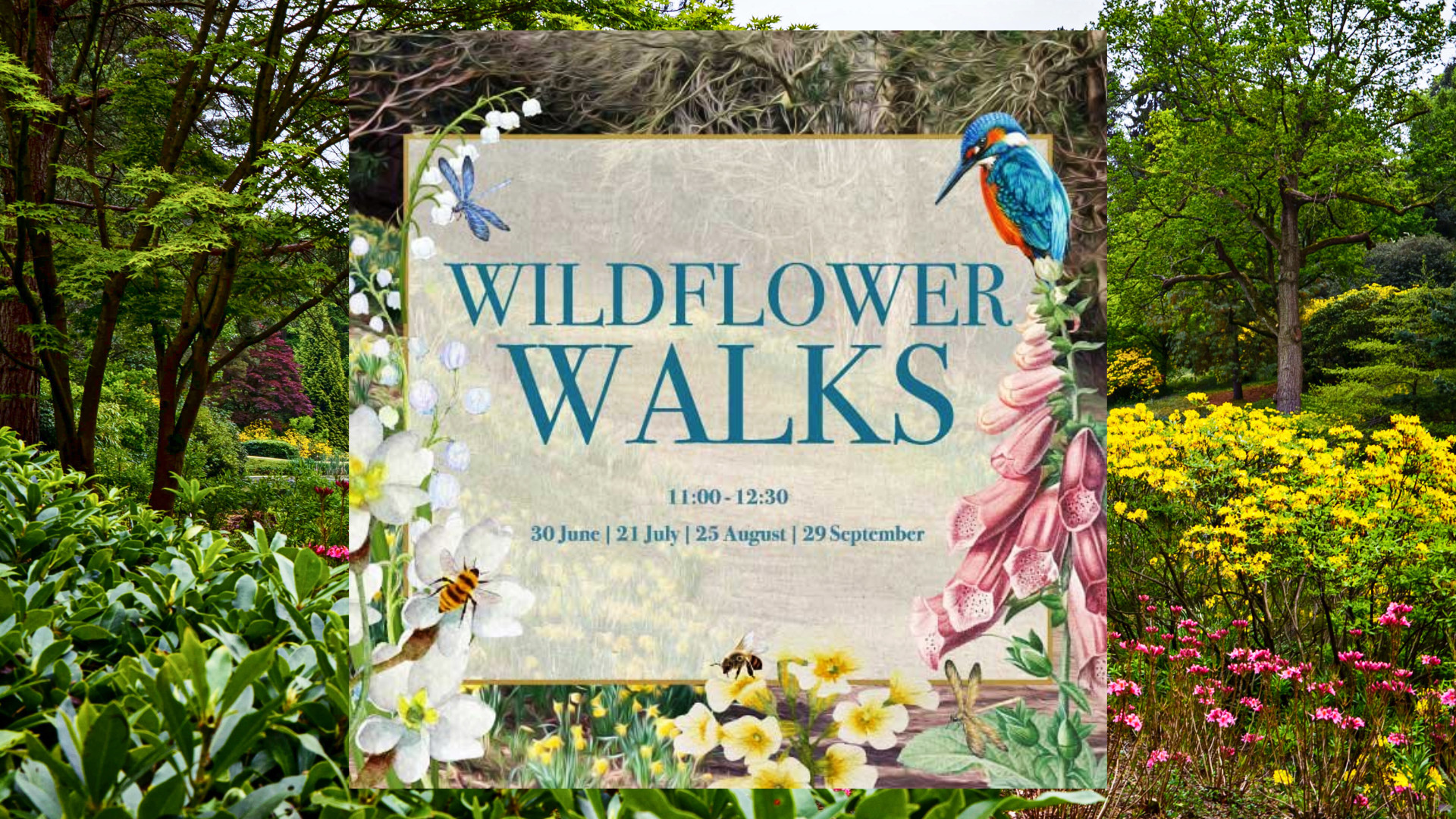 Wildflower Walks - Leonardslee Gardens